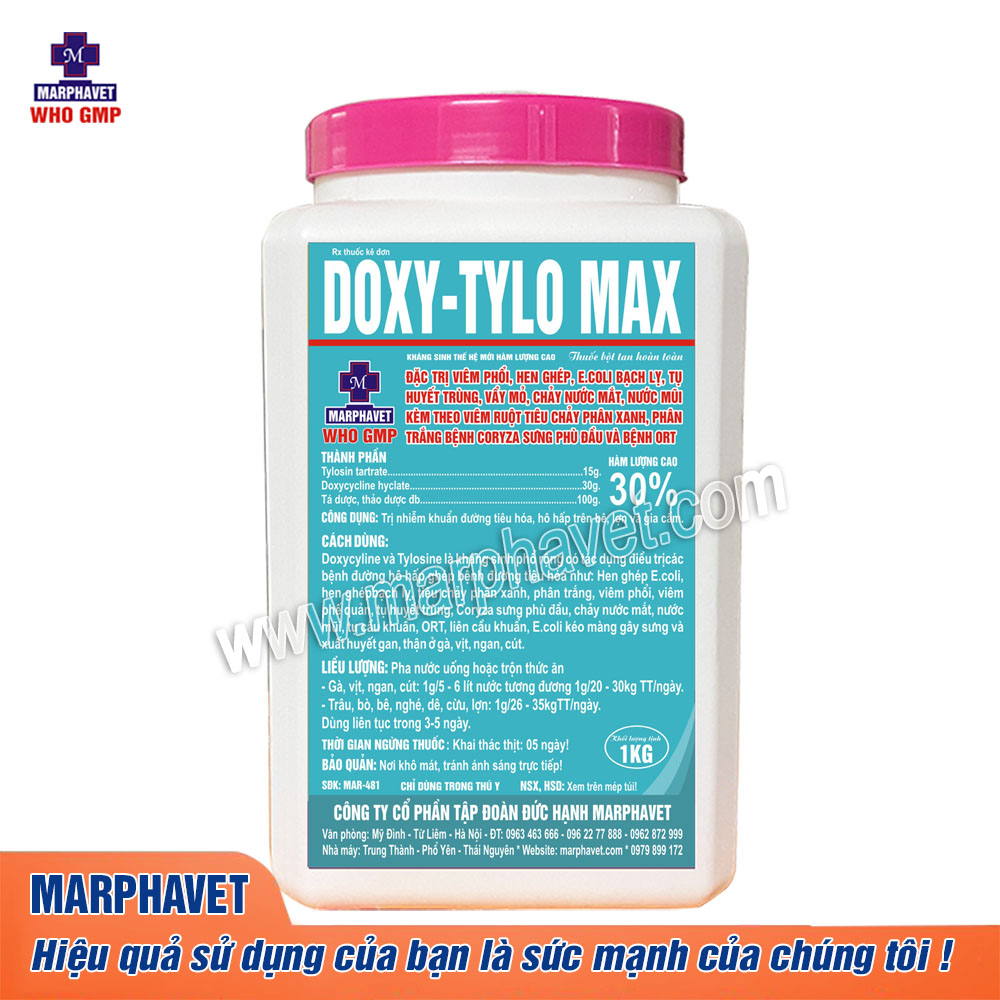 DOXY-TYLO MAX 30% - Tập đoàn Đức Hạnh Marphavet BMG